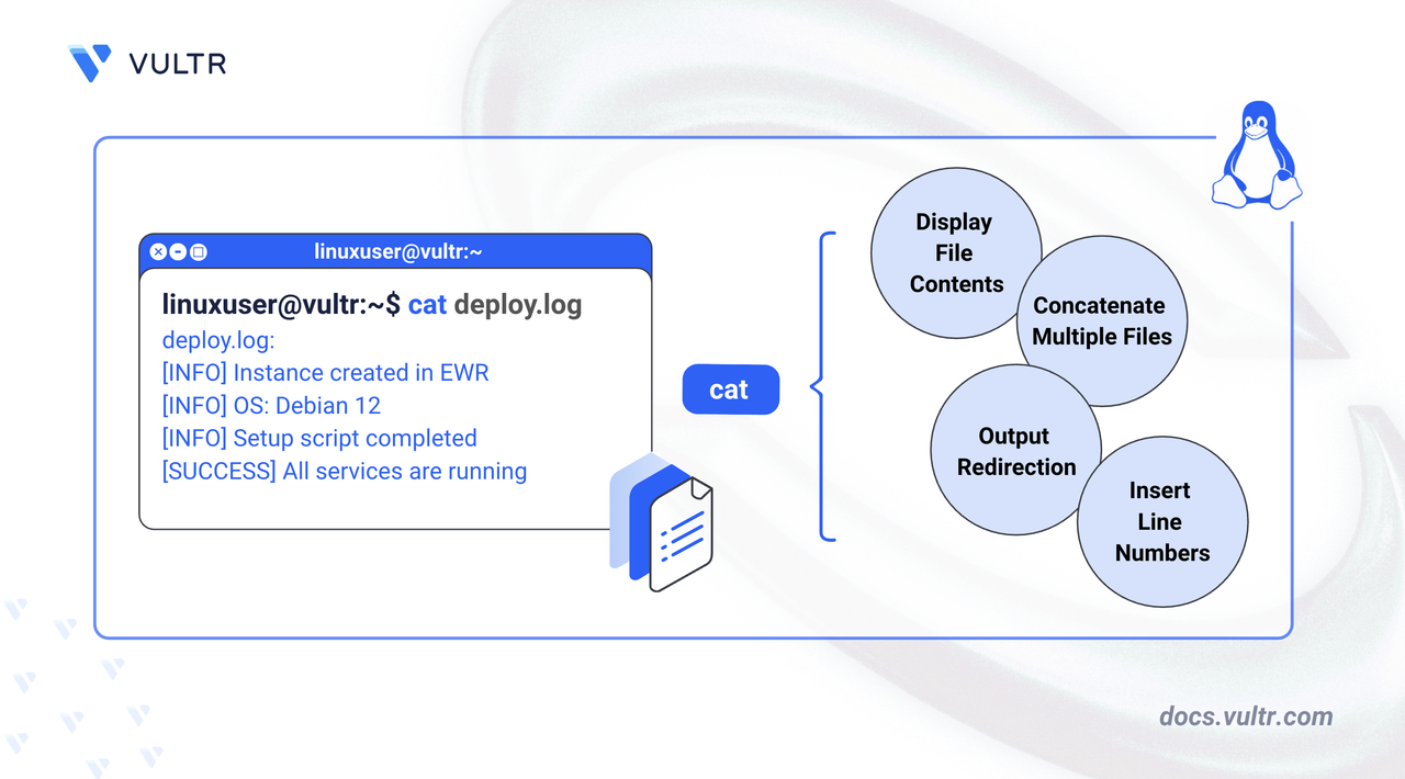 How to Use the Cat Command in Linux | Vultr Docs